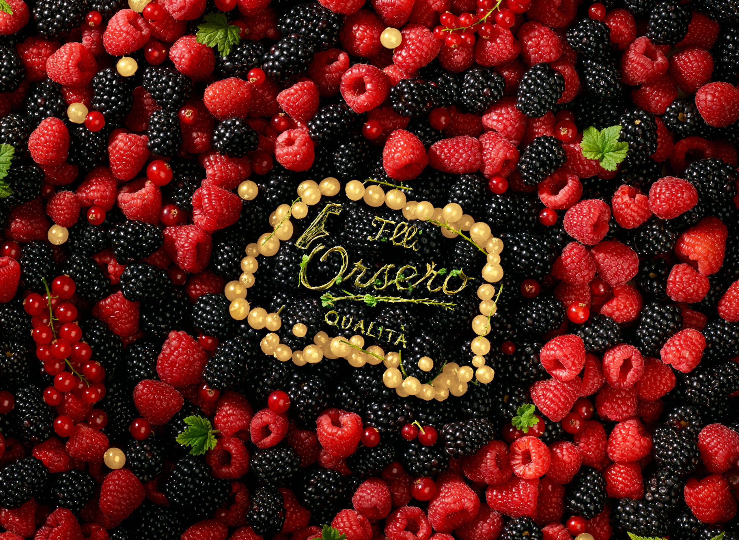 THE WORLD OF FRUIT IN A NAME – 2024 – Orsero Group - Quiqueg